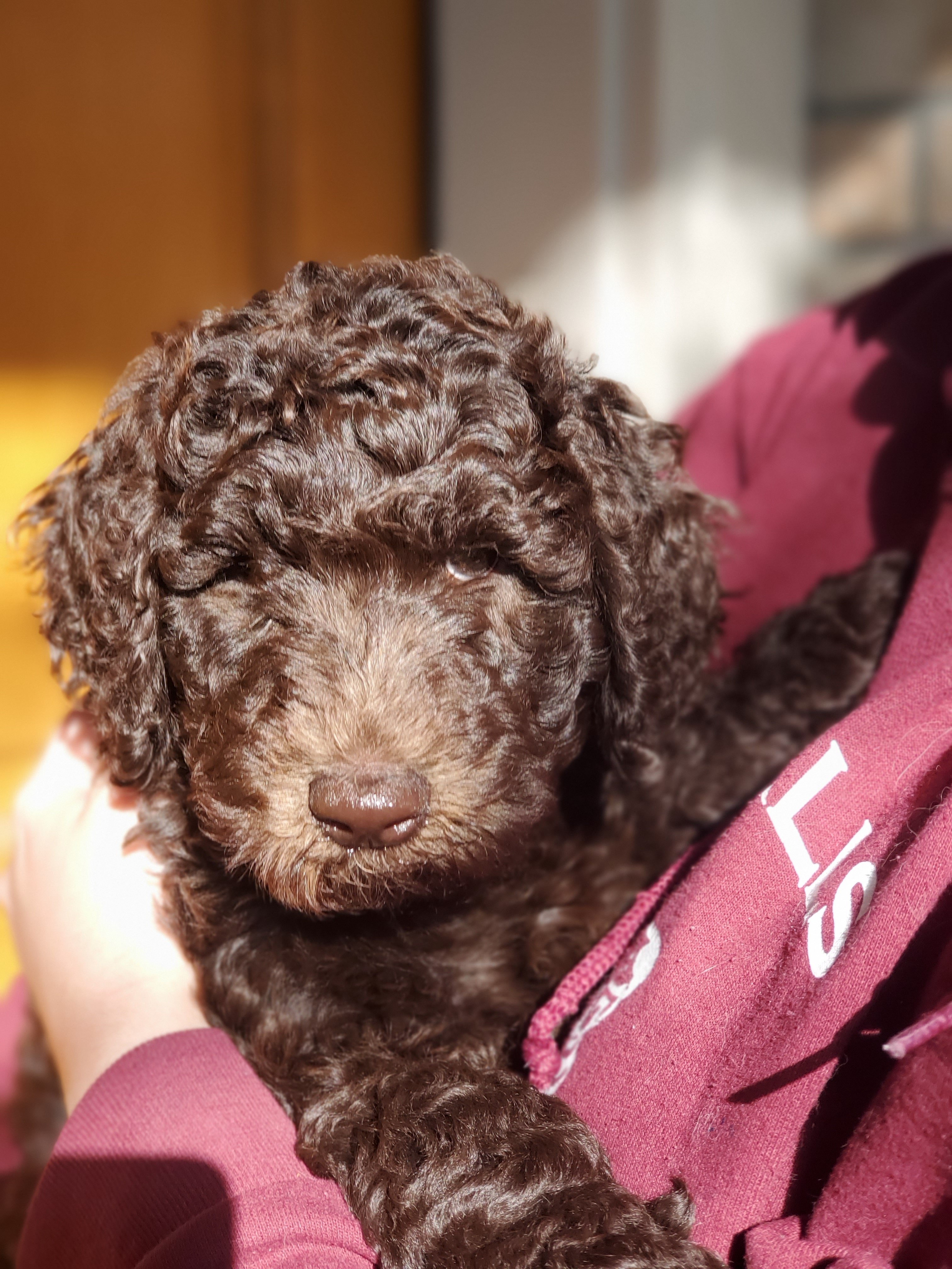 So long overdue – Nathan's Batten Battle